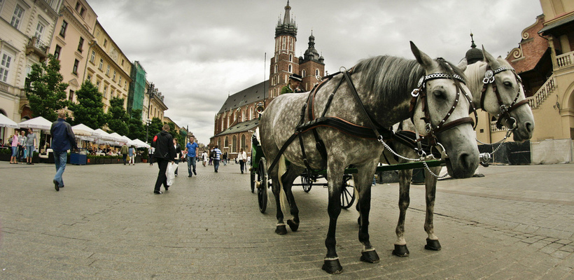 Poland | Adventure tours and things to do | Embark.org