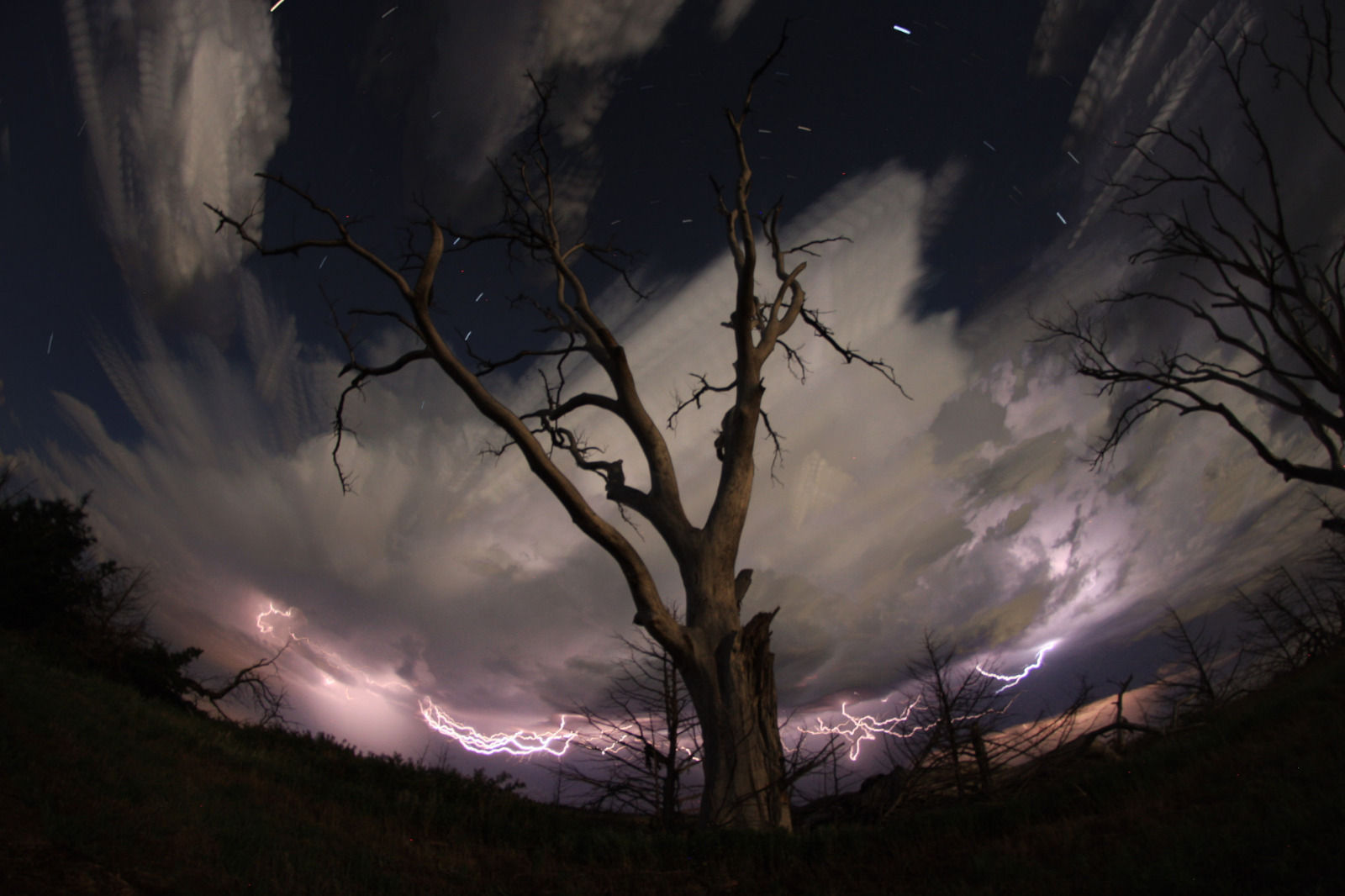 The Art of Light | Embark.org