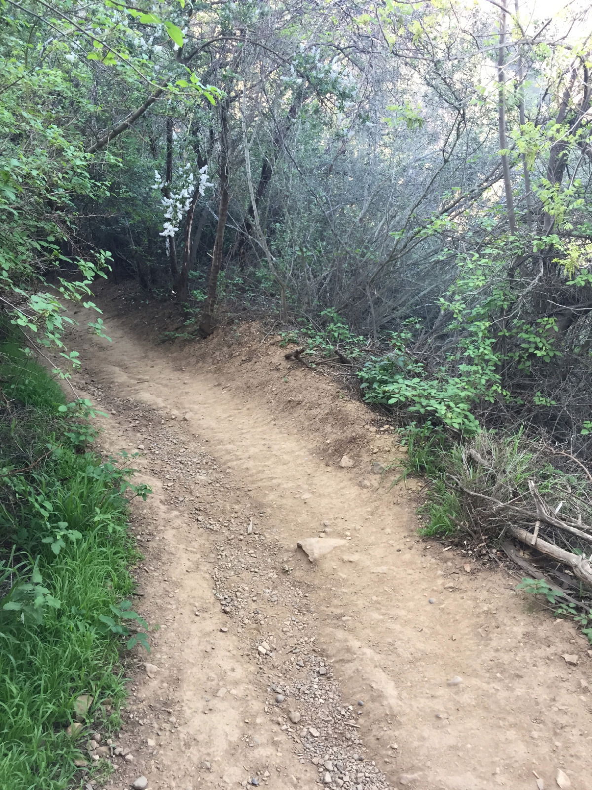 Temescal Canyon Loop | Embark.org