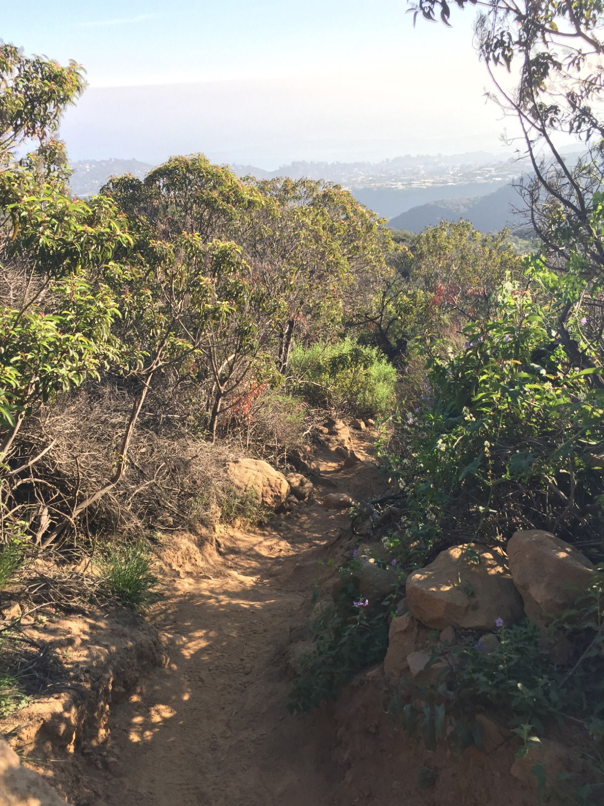 Temescal Canyon Loop | Embark.org