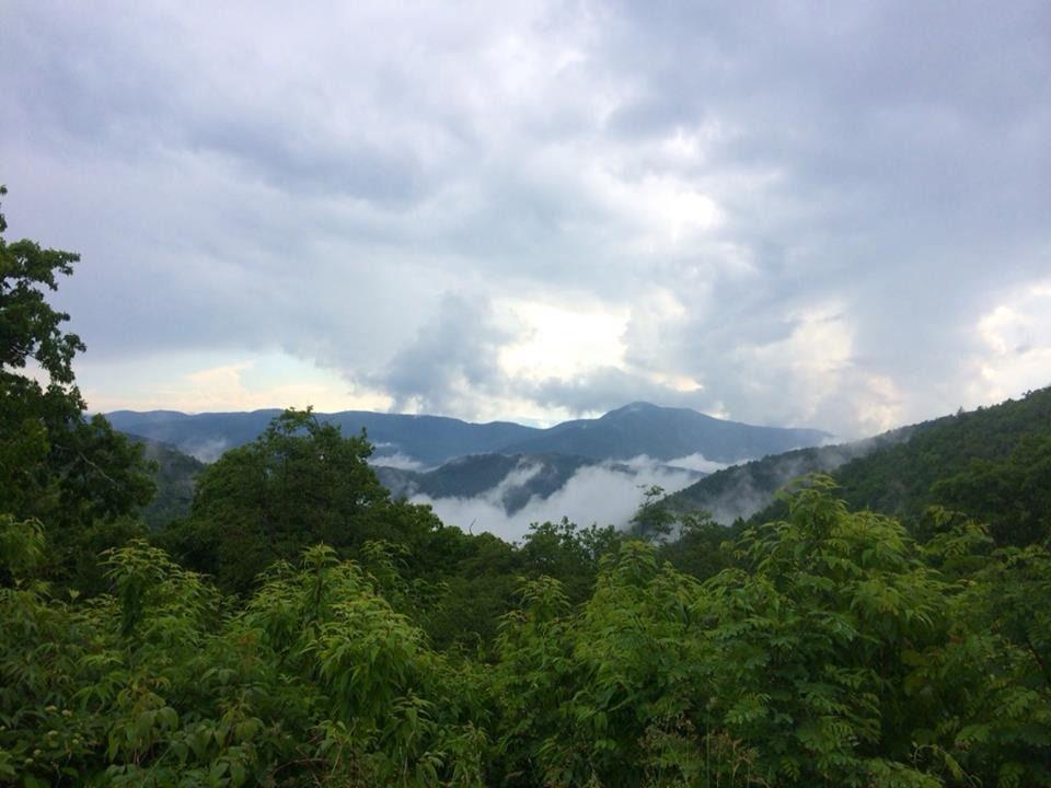 Em-BARK! | Embark.org