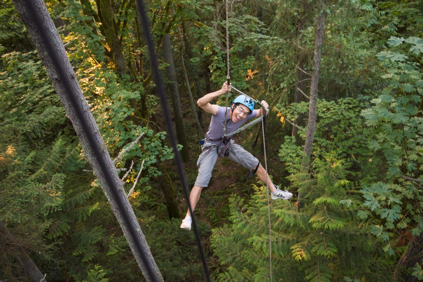 Canopy Tree Climbing | Embark.org