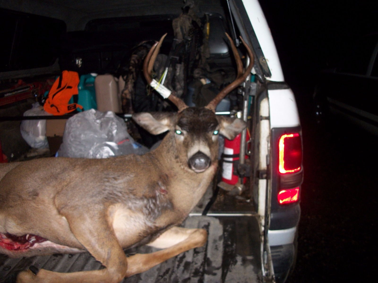 Olympic Peninsula Guided Hunting Trip | Embark.org