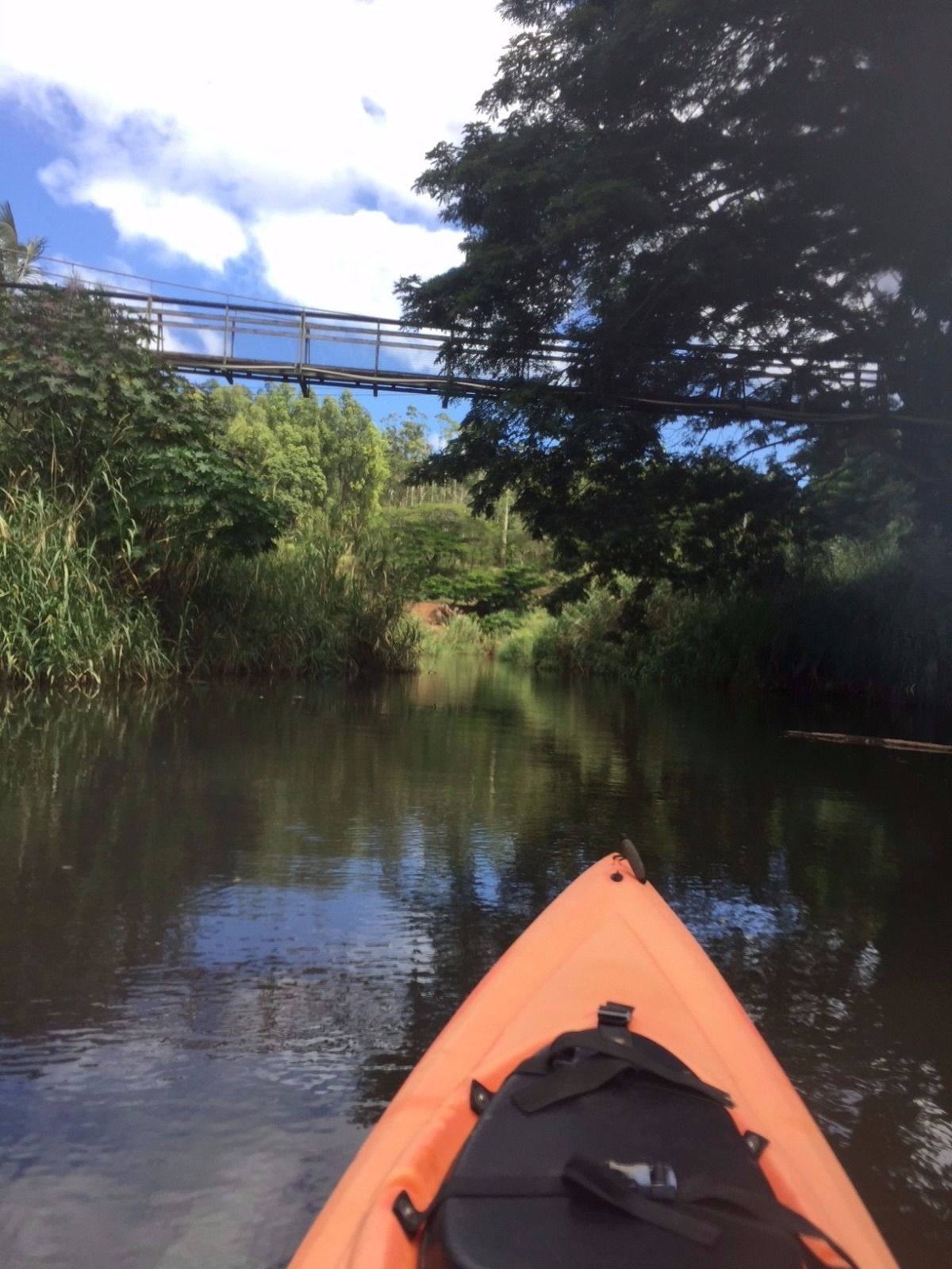 Kayak Wailua River, Hike To Secret Falls | Embark.org