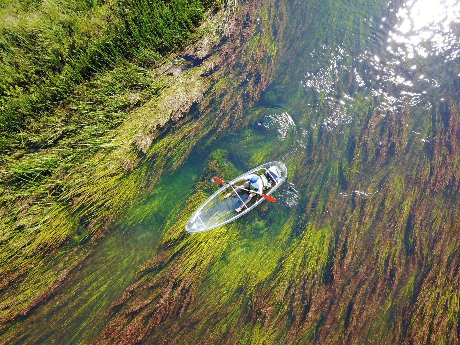 Transparent kayaking on river Gacka | Embark.org