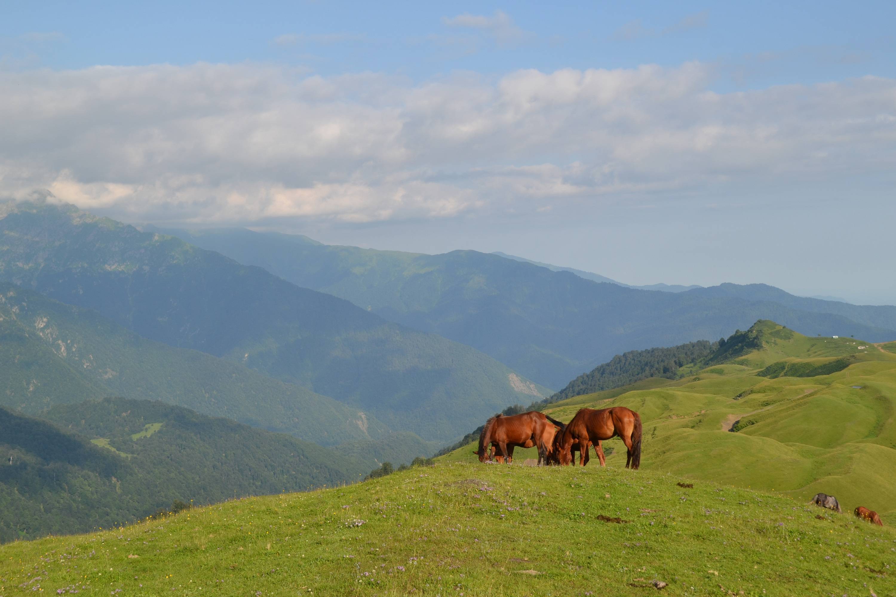 TRAVEL IN GEORGIA - PANKISI VALLEY - KVETERA - KHADORA WATERFALL ...